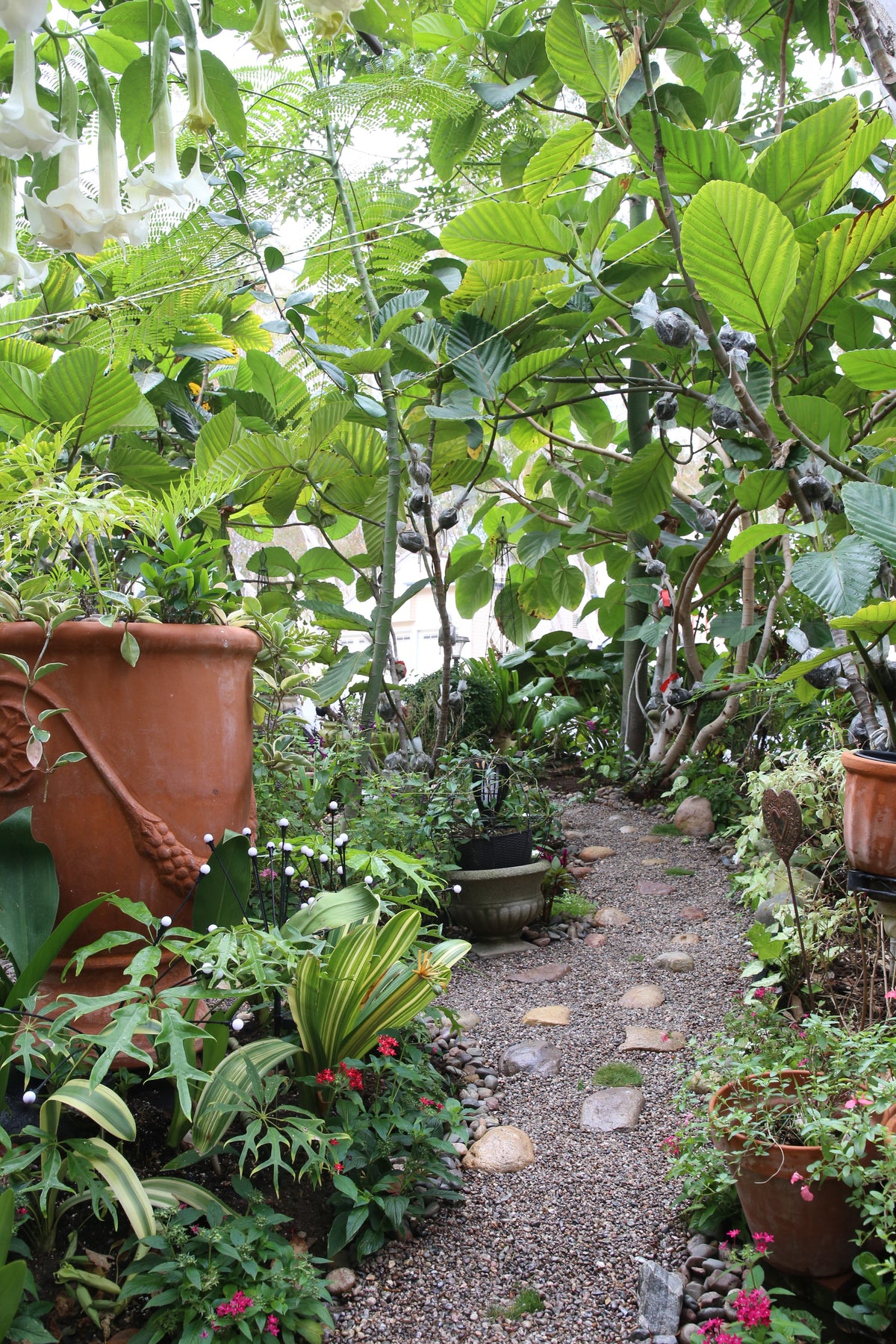 Most Common Landscape Design Topics Among homeowners, Designers and Ga ...